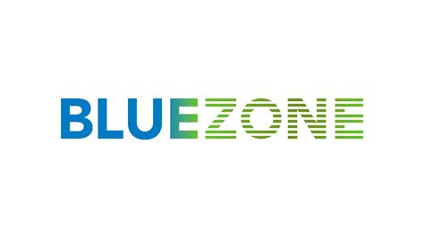 Blue Zone Gmbh Iot Use Case