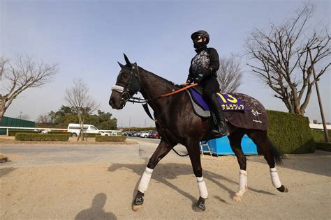 【高松宮記念】ナムラクレア 実績不足なしも「6歳牝馬」の好走はほとんどなし スポニチ競馬web