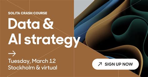 Crash Course On Data And Ai Strategy Solita
