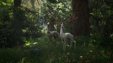 Annihilation Movie Plot Ending And Meaning Explained The Cinemaholic