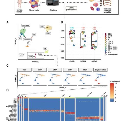 Pdf Cell Id Gene Signature Extraction And Cell Identity Recognition