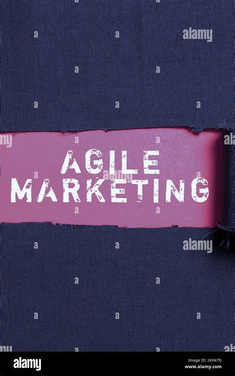 Text Caption Presenting Agile Marketing Internet Concept Focusing Team Efforts That Deliver