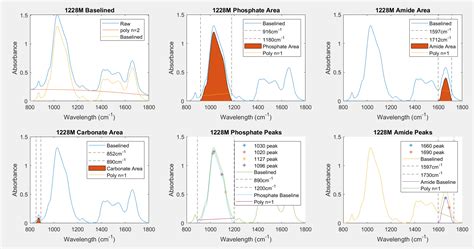 GitHub Macy Mora Antoinette FTIR Spectral Analysis