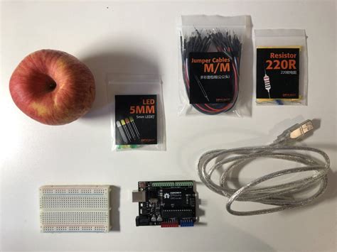 Arduino Fruit Switch Interaction Lab