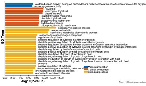 Transcriptome