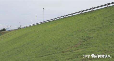 海口小众拍照打卡点，沙坡水库让宫崎骏的漫画写到了现实 知乎