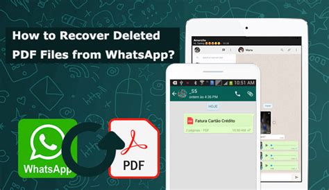 How To Recover Deleted PDF Files From WhatsApp In 6 Ways
