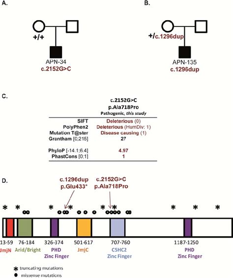 Figure S16 Kdm5c Two Causative Mutations Download Scientific Diagram