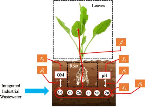 Design Of The Variables Used For Construction Of The Prediction Model Download Scientific Diagram
