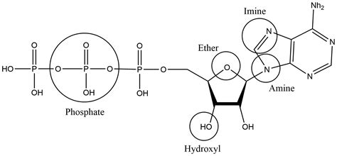 Functional Groups MCC Organic Chemistry