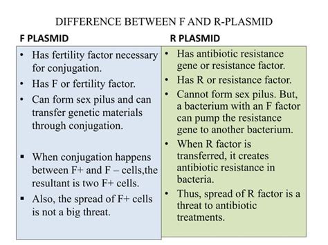 Plasmid Types Structure And Functions Pptx