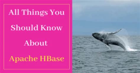 All Things You Should Know About Apache Hbase