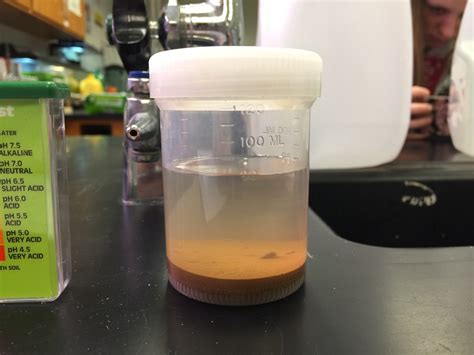 Soil Lab AP Environmental Science Lab Reports