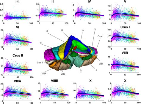 Volume Trajectories For Absolute Volumes In Cm3 For Cerebellum Lobules