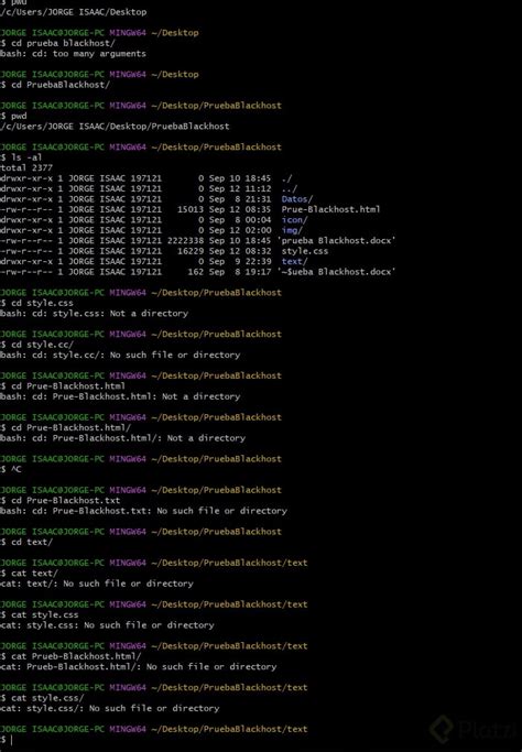 Profesor Pense Que Html Y Css Era Tambien Documento Plano Pero No Me Deja Abrirlo Queria