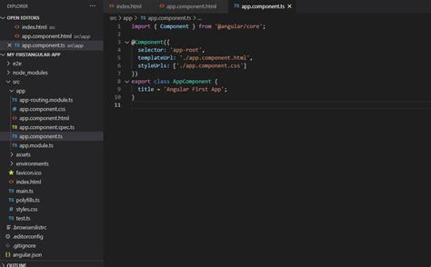 Using Vscode To Build And Run An Angular Application Gohiut