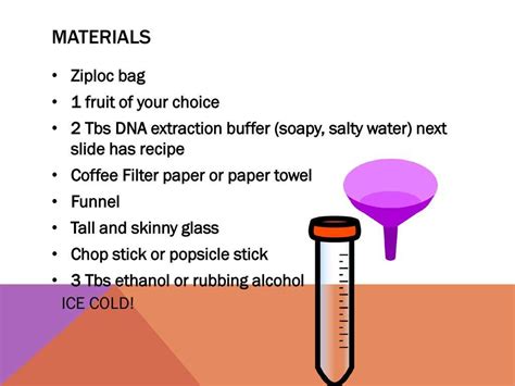 The Key To Unlocking The Secrets Of Dna Extraction Lab Answer Revealed