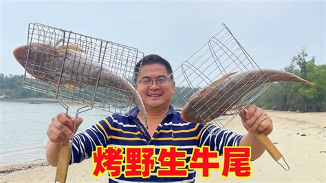 210买4条野生牛尾地球哥在沙滩边烤着吃特别香 YouTube
