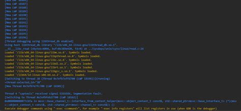 Using Wsl The Language Server Crashed 5 Times In The Last 3 Minutes