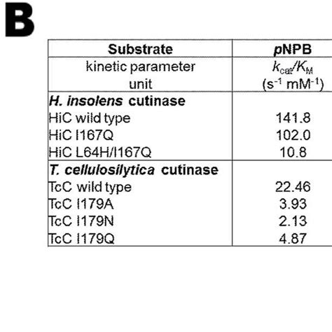 Biochemical Analysis Of Hic And Tcc Wild Type And Variants A
