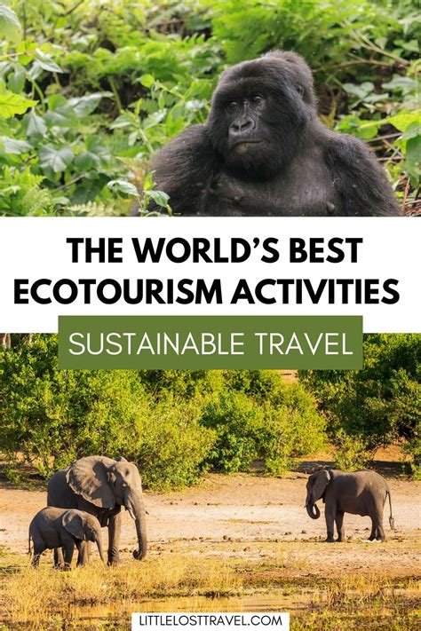 10 Rewarding Ecotourism Activities To Do Around The World Artofit