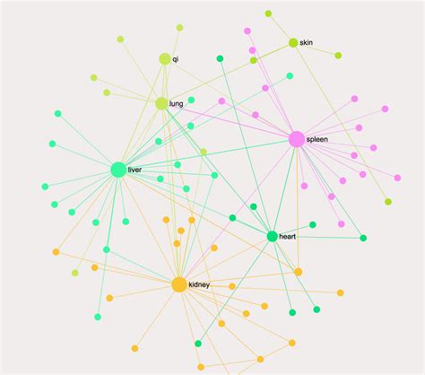 Chinese Medicine Network Graph Tcm Organ Clock Diagram Nodus Labs