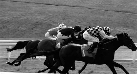 Semantic Image Editing Image Restoration And Building NeRF At A City Scale