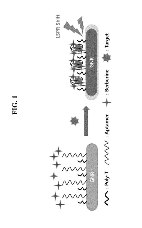 Lspr Based High Sensitivity Aptamer Sensor Using Intercalation Agent Eureka Patsnap