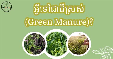 ចំណេះដឹងទូទៅ នាទីកសិកម្ម Kaksekam Time