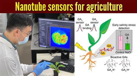 Nanotube Sensors Are Capable Of Detecting And Distinguishing Gibberellin Plant Hormones Youtube