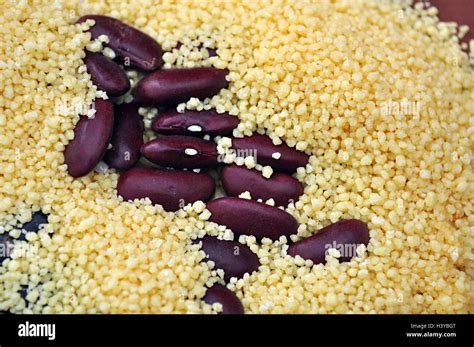 What Is Couscous Seed At Jessica Stock Blog
