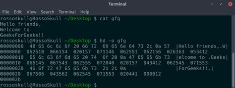 Hexdump Command In Linux With Examples Geeksforgeeks