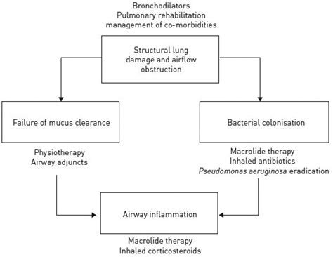 Current Therapies For Bronchiectasis According To The Pathophysiology Download Scientific