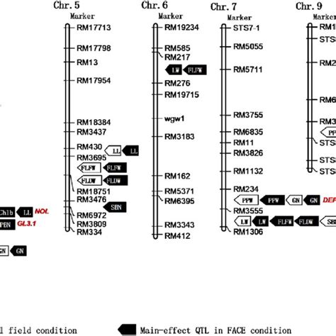 Main Effect Qtls Detected In The Natural Field And Elevated Co2