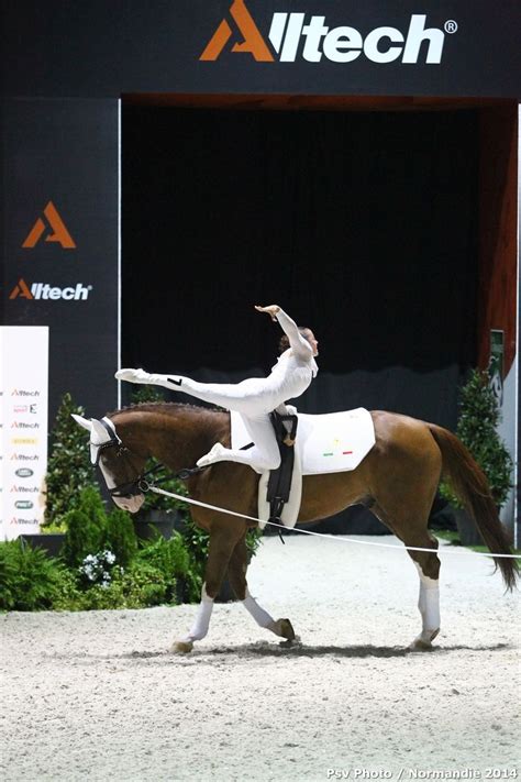 Vaulting Womens Individual Final 0509 Copyright Psv Photo
