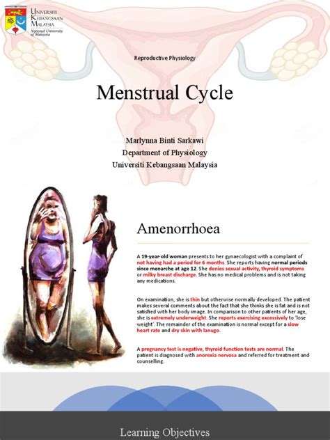 Menstruation Physiology Pdf