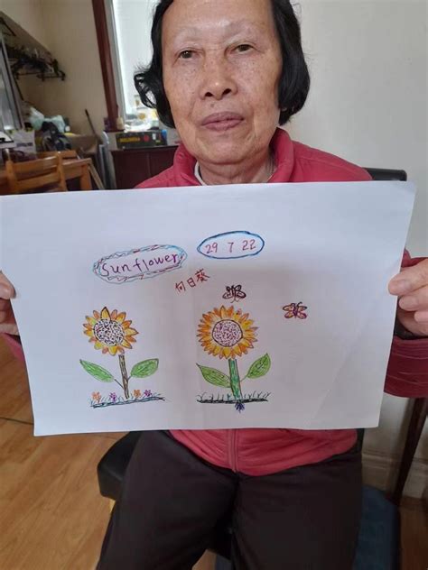 In The Aspect Of Chinese Chinese Wellbeing華人身心健康