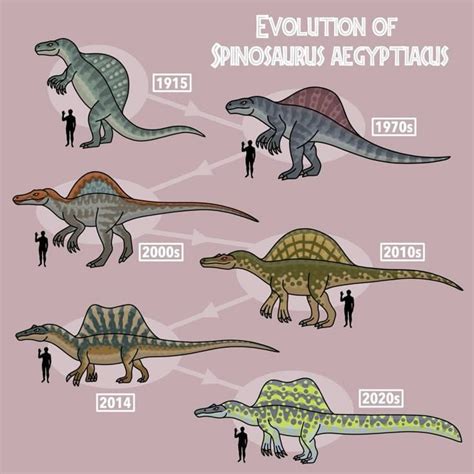 Luke Sutton The Evolution Of Spinosaurus Aegyptiacus A Century Of