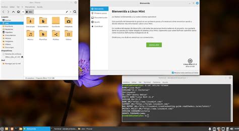 linux mint 21 2 victoria final release