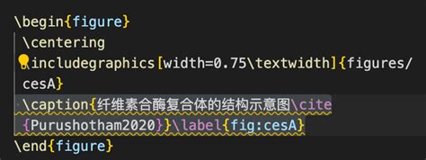 Vscodemactex报错问题 · Issue 54 · Bit Thesislatex Template · Github