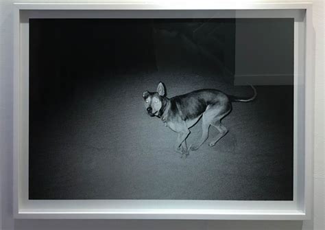 Extra Credit Nyu Photography Senior Show Comd3330 D230 Digital Photography Ii Spring 2019