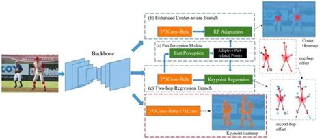 Adaptivepose ：开辟多人姿态估计新思路，速度快、精度高 知乎