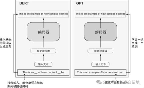 大模型核心概念解析：llm、transformer、gpt、bert等8个关键词及原理全揭秘！差分transformer算大模型吗 Csdn博客