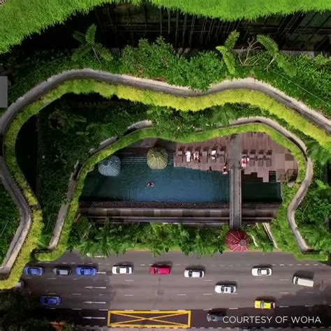 Vishmitha Sivasinghe Posted On Linkedin