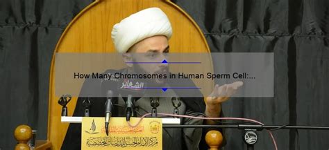 How Many Chromosomes In Human Sperm Cell Unveiling The Essential Count