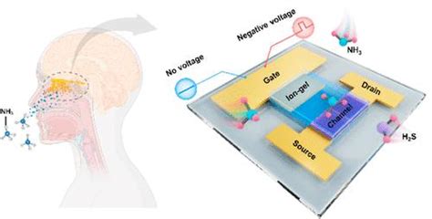 In Sensor Organic Electrochemical Transistor For The Multimode