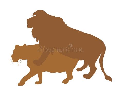 Sex Lion Silhouette Illustration A Pair Of Mating Lions In Love Having Sex Stock Illustration