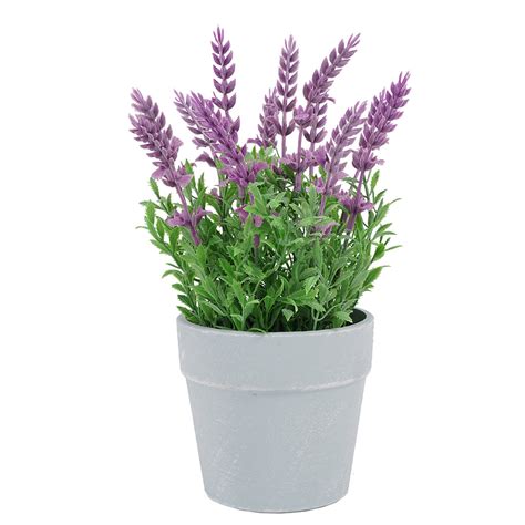 Lavanda Morada En Macetero Green Element Market People