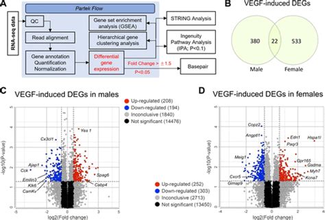 Transcriptome Profiling Suggests Molecular Sexual Dimorphism In