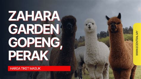 Zahara Garden Di Gopeng Perak Harga Tiket Masuk